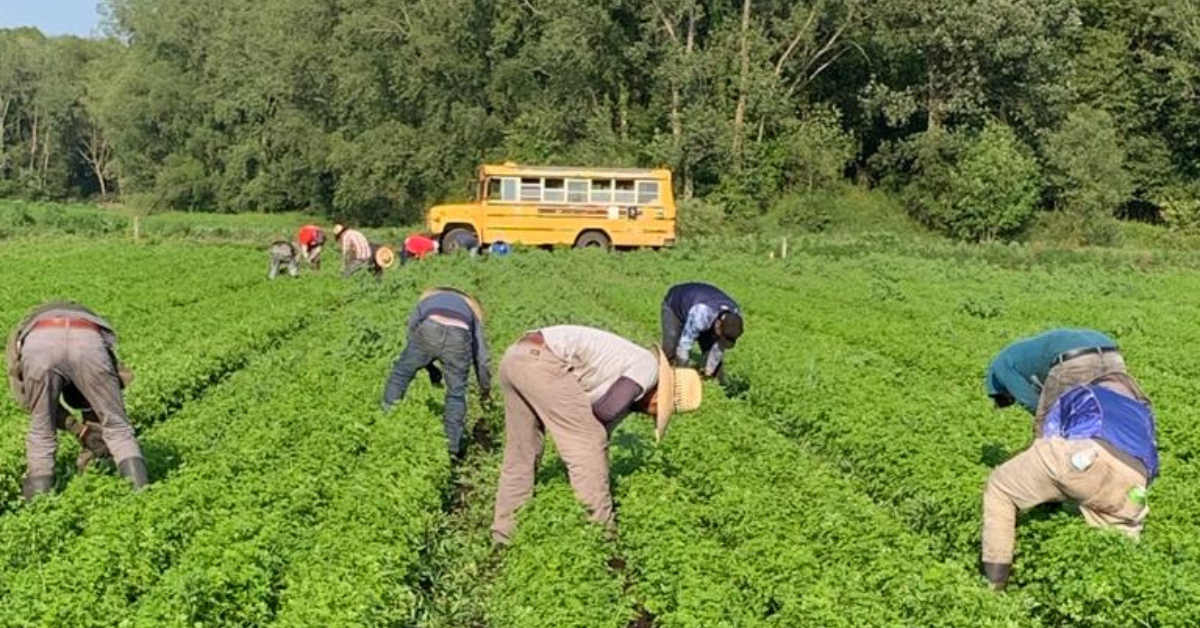 Farm Workers Demand OSHA Issue Federal Heat Rule • UFW Foundation
