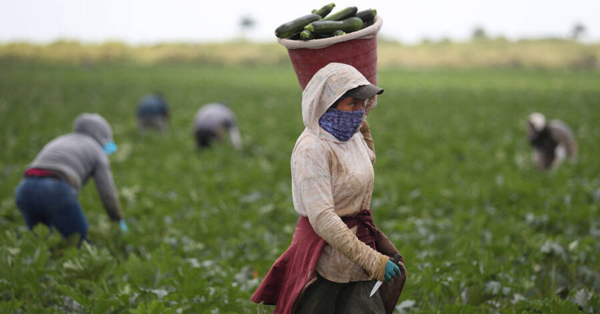 United Farm Workers & UFW Foundation Welcome New Federal Rules to ...