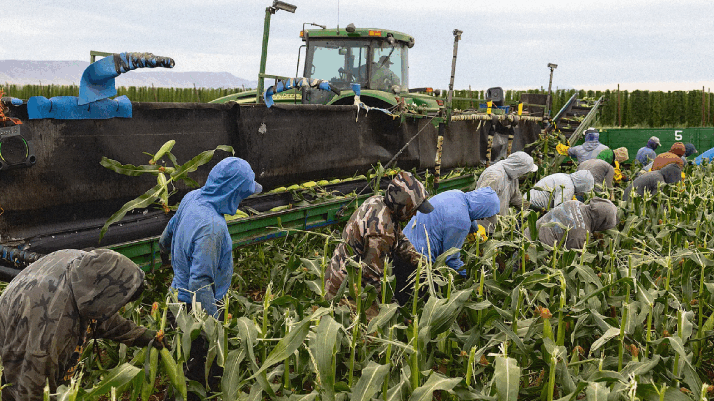 U.S. Farm Workers Sue Trump Administration to Save American Farm Jobs ...