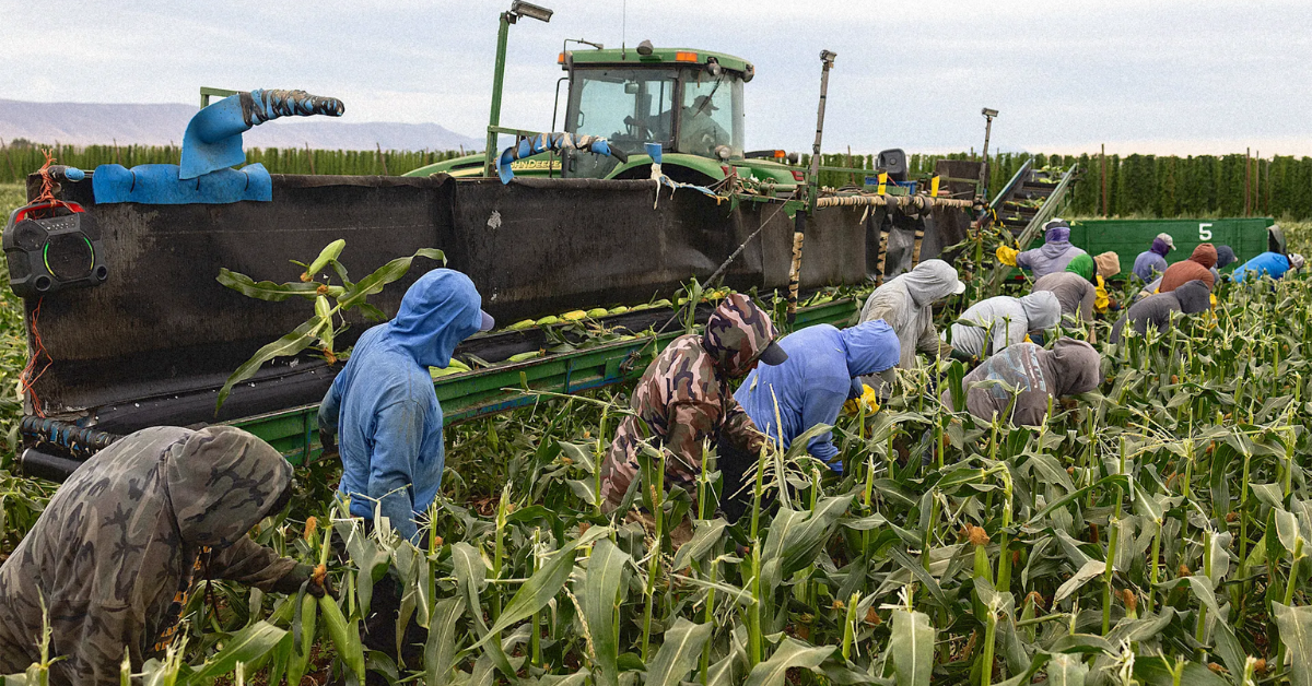 U.S. Farm Workers Sue Trump Administration to Save American Farm Jobs ...